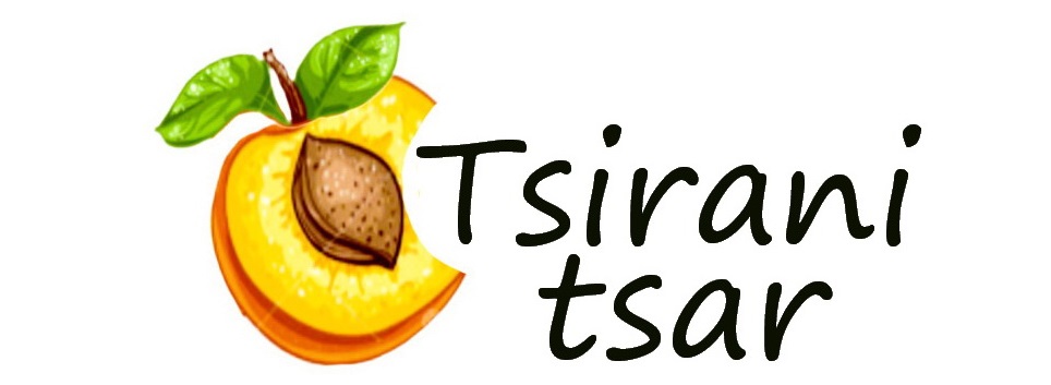 Armeens projectkoor Tsirani tsar - Koor